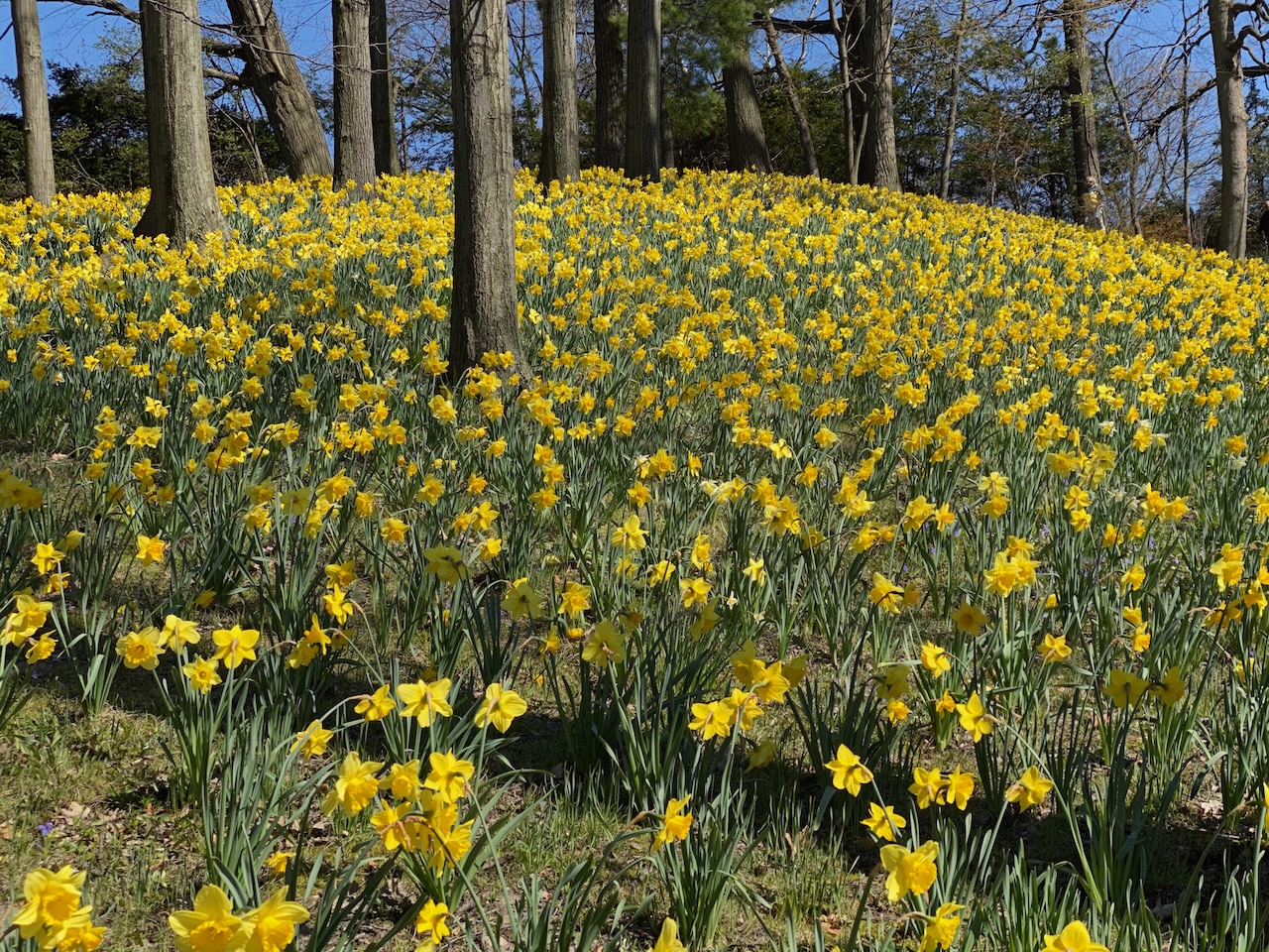 img_6687 – Triton Station